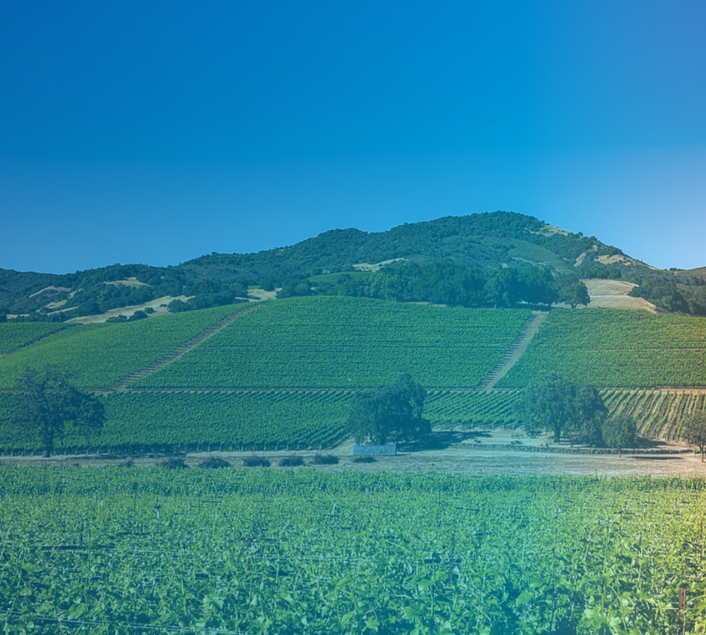 Senza Hotel, Napa Valley - Threshold 360